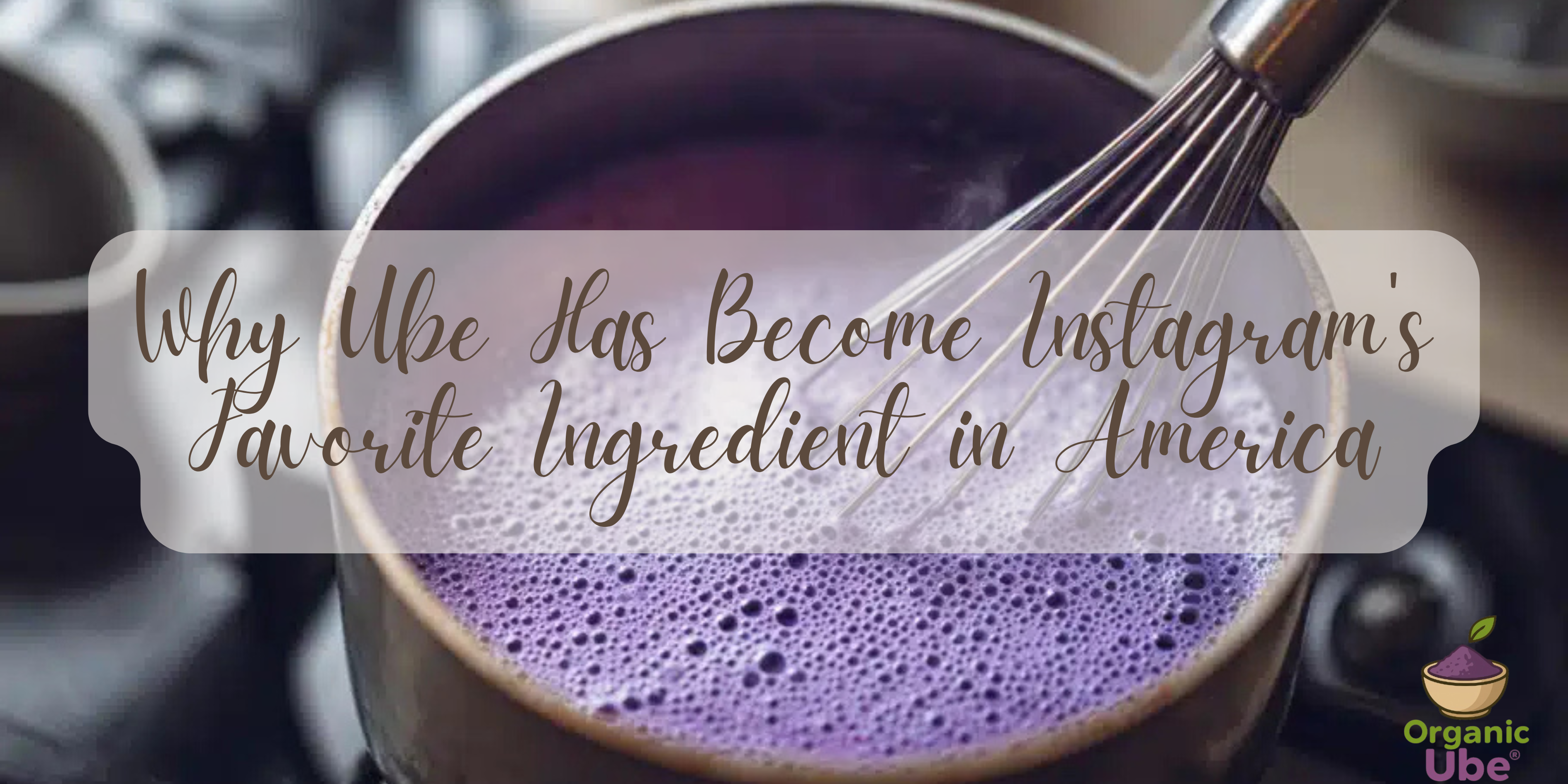 Why Ube Has Become Instagram's Favorite Ingredient in America – Organic ...