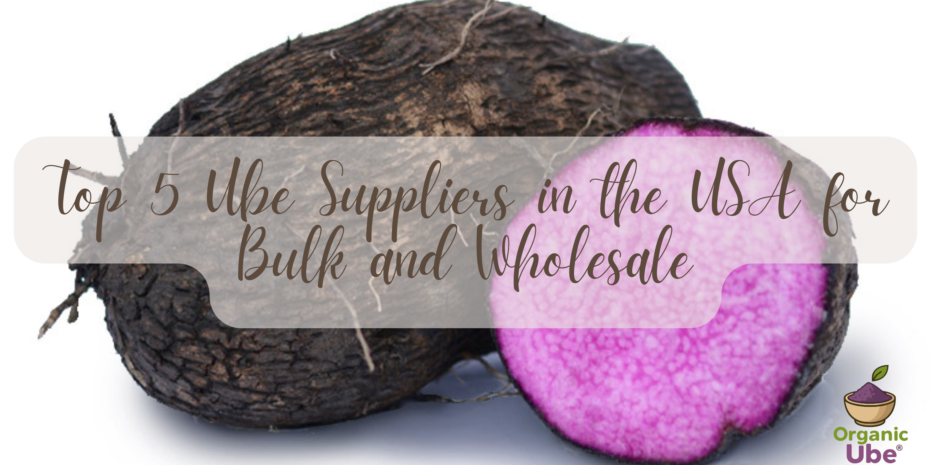 Specialist US Shop for Organic Purple Yam Powder – Organic-Ube USA