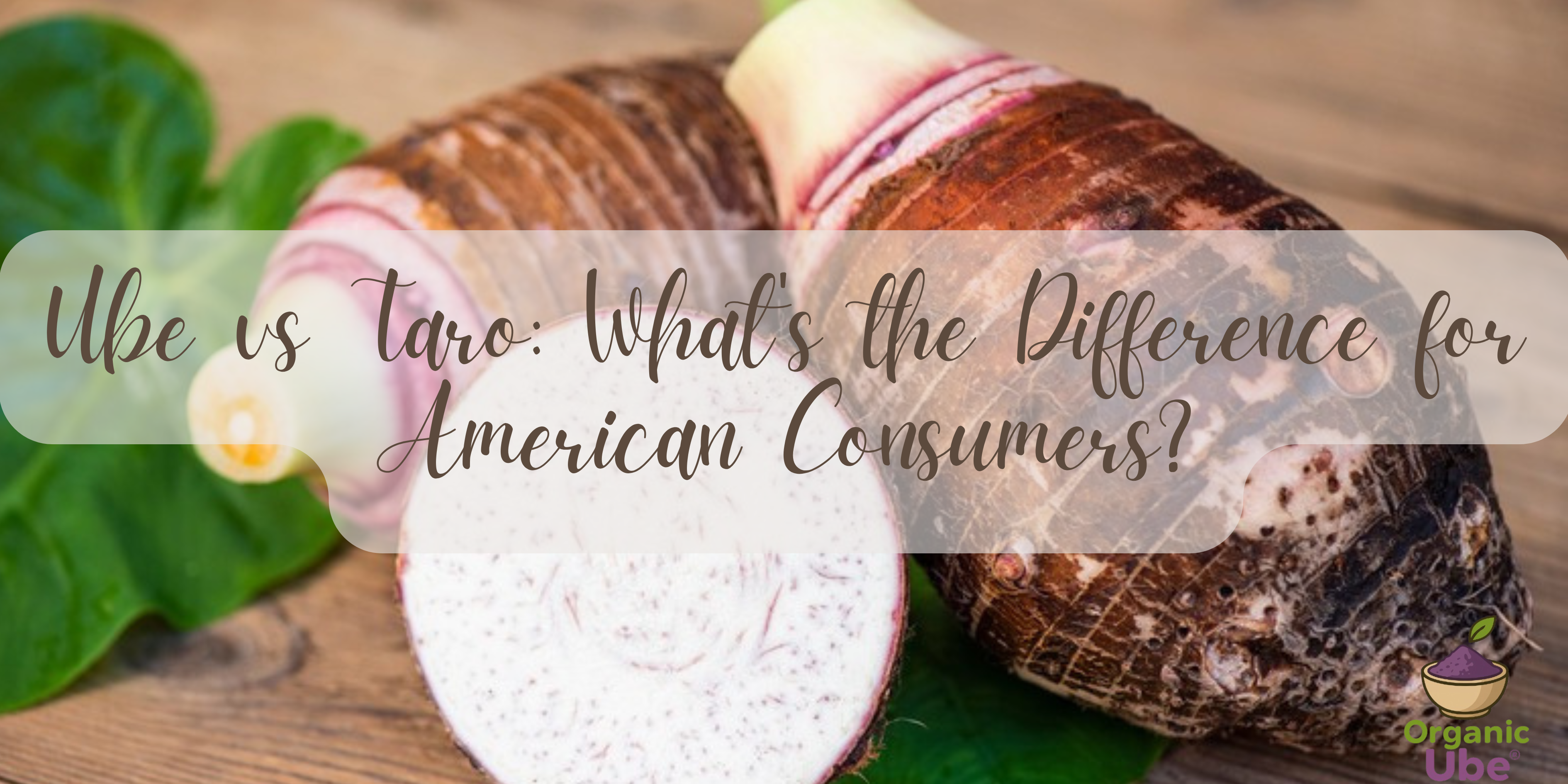 Ube vs Taro: What's the Difference for American Consumers? – Organic ...